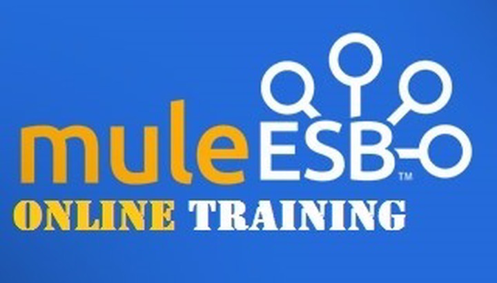 MULE ESB ONLINE TRAINING